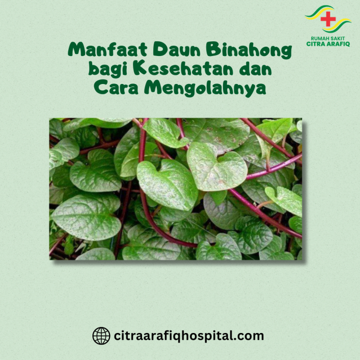 Rumah Sakit Citra Arafiq